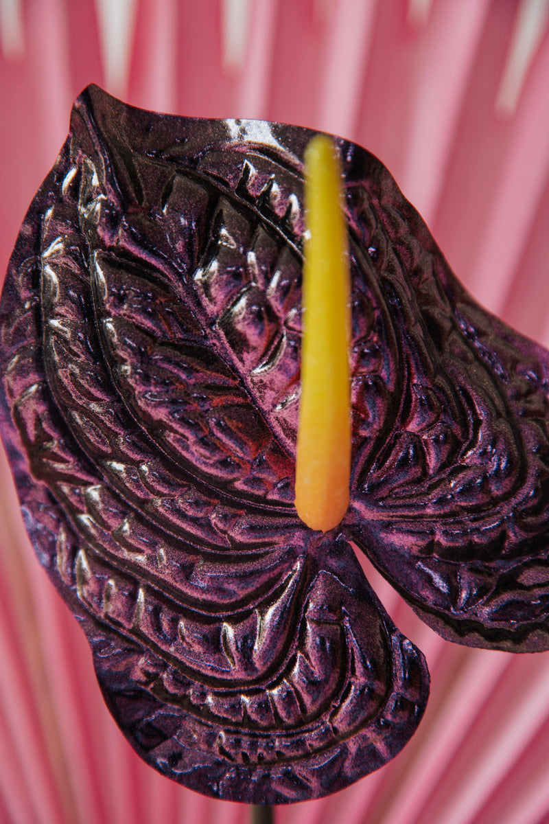 Exotic elegance– Odette Flowers