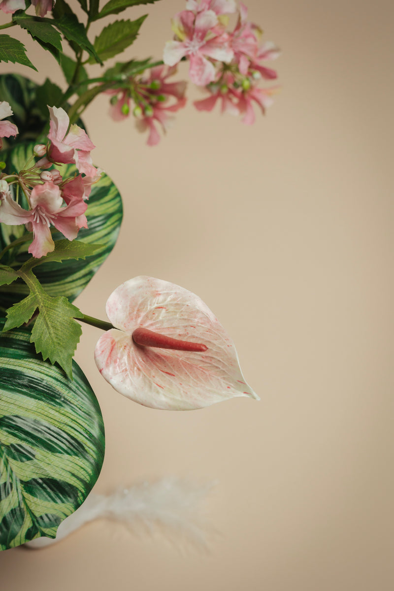 Soft Romance– Odette Flowers