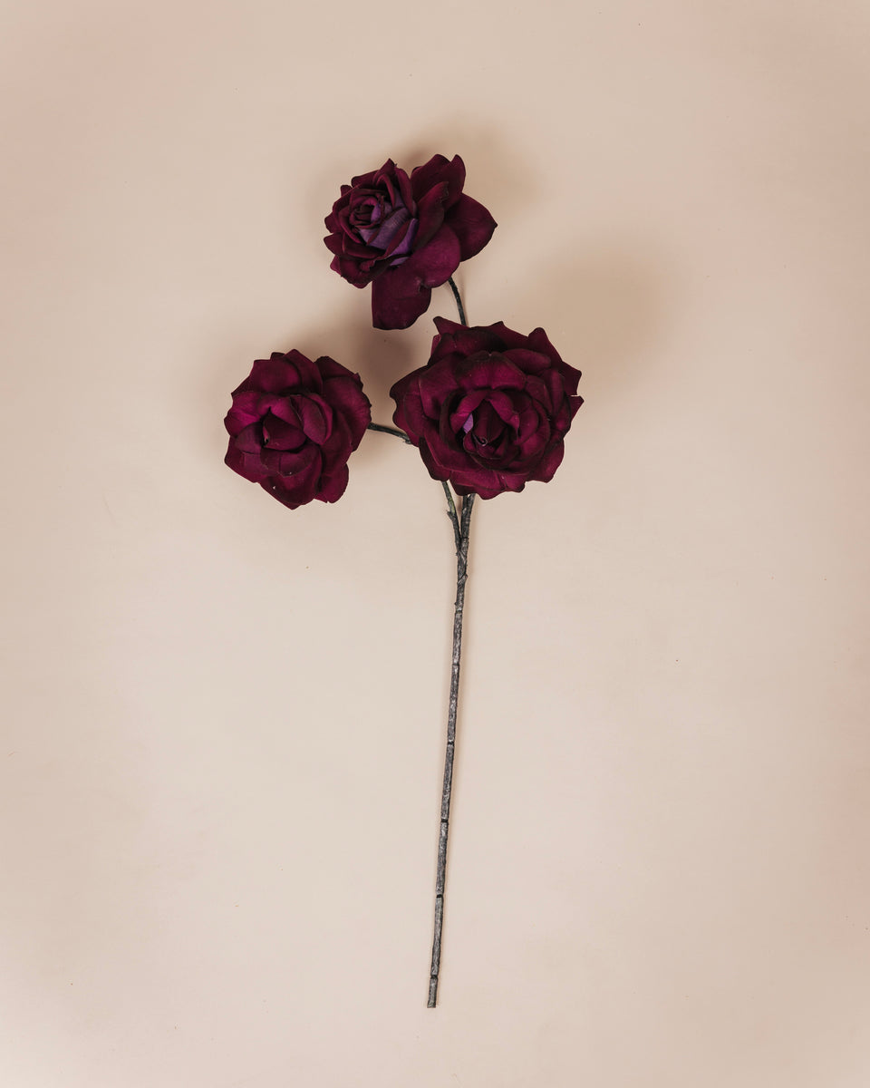 Violet & Rose– Odette Flowers